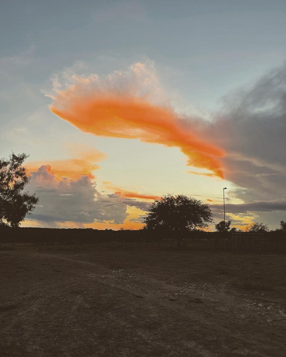 Veteran's Liberty Ranch | Grass Fed Beef | Rhome, TX