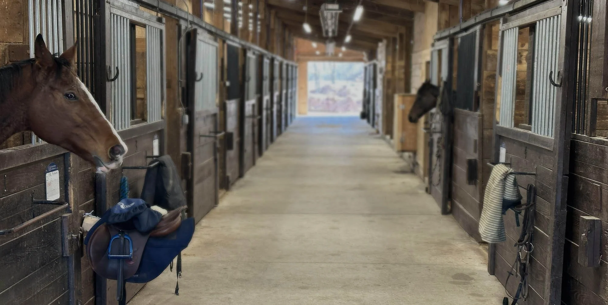 LP Equestrian Center