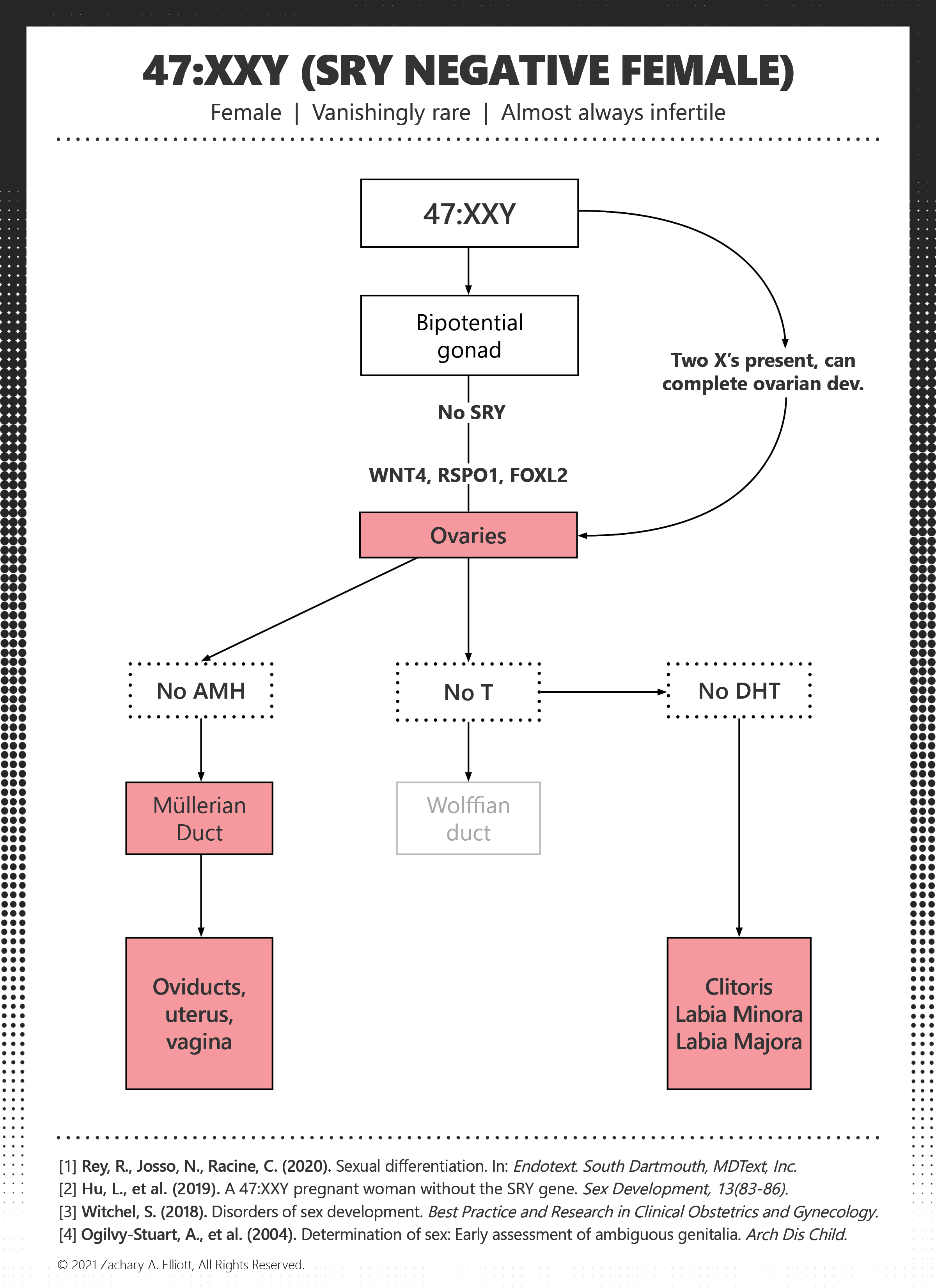 Defining S-x vs Determining S-x | Lipstick Alley