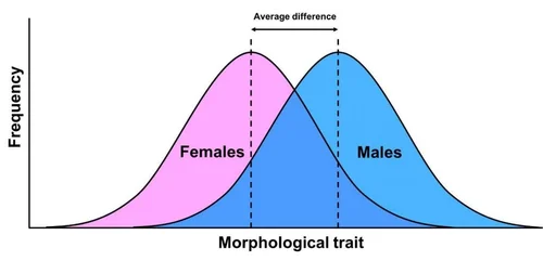 ScienceVet’s Sex Spectrum — Paradox Institute
