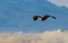 About the St. Vrain Valley — Save Our St. Vrain Valley