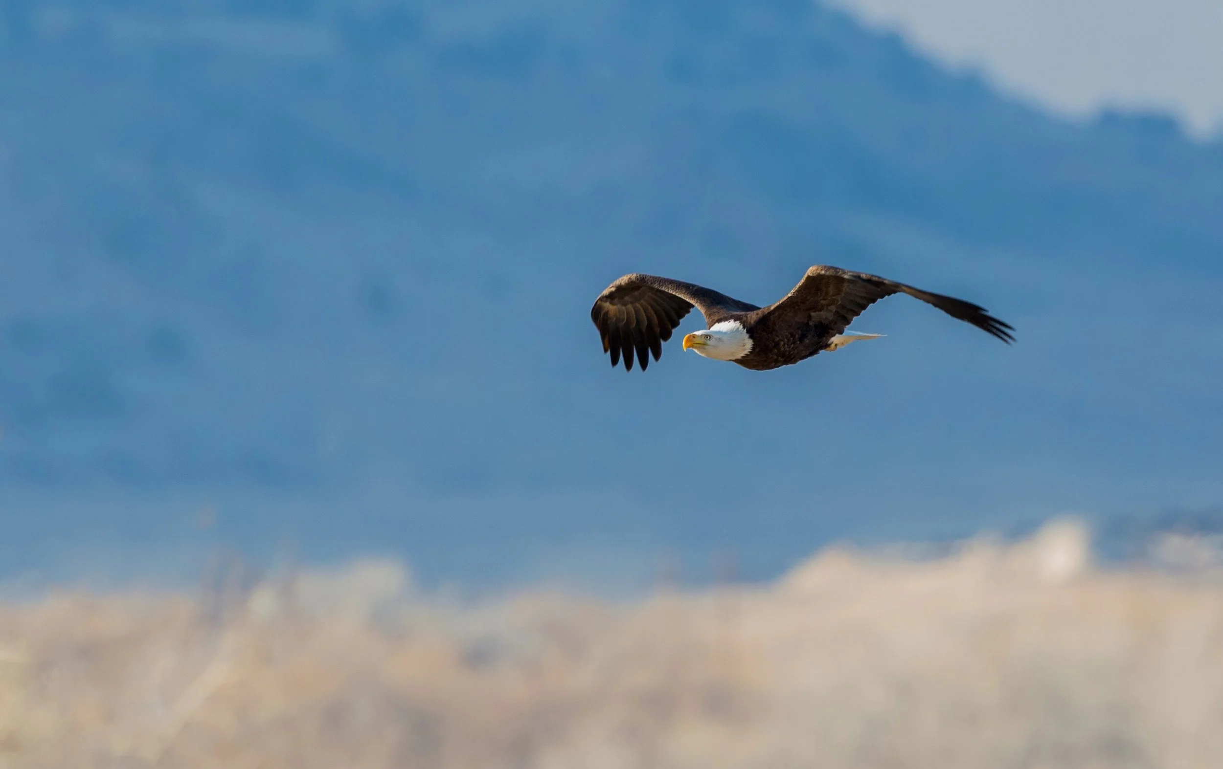 About the St. Vrain Valley — Save Our St. Vrain Valley
