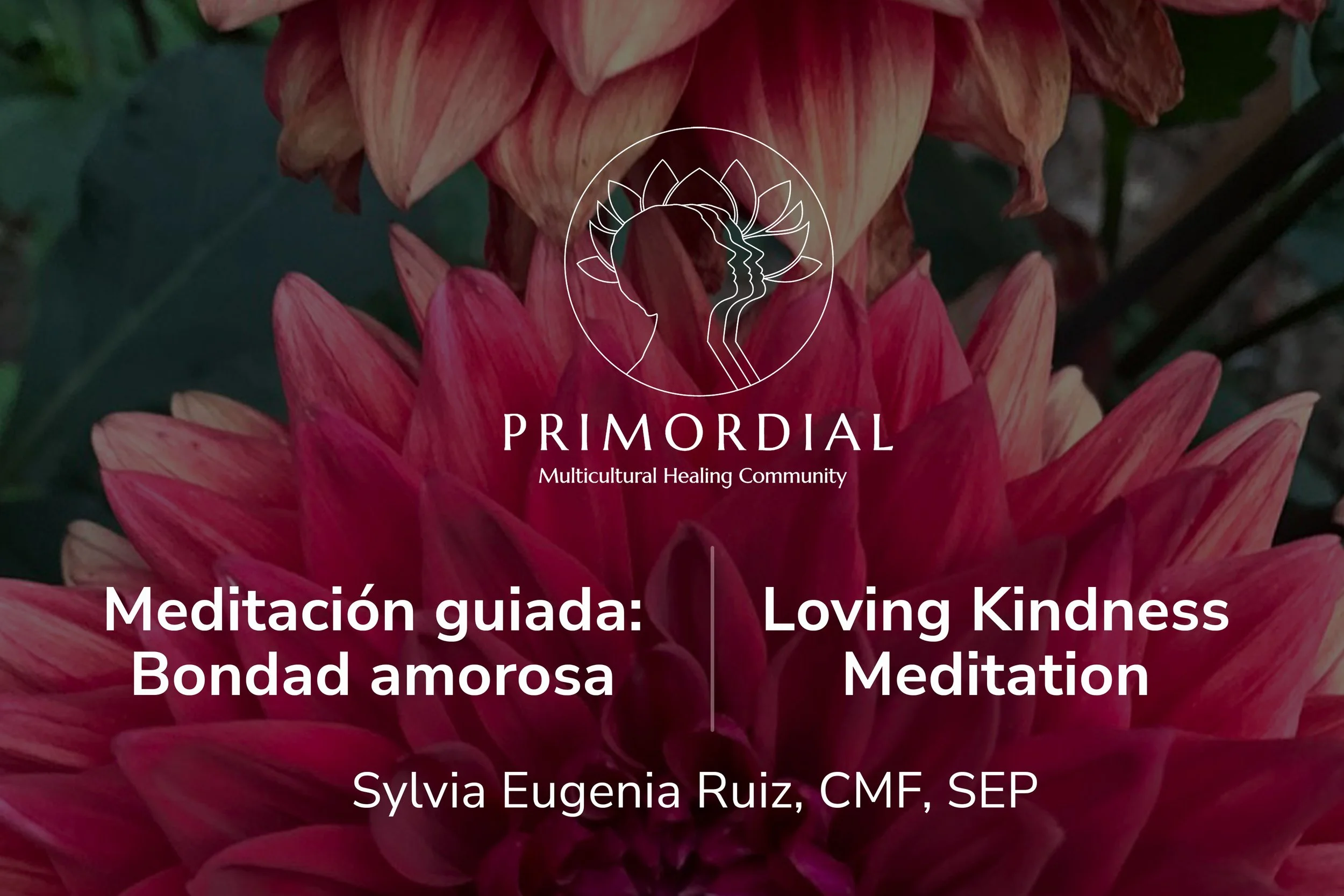 Guided Meditations in Spanish — Primordial Multicultural Healing Community