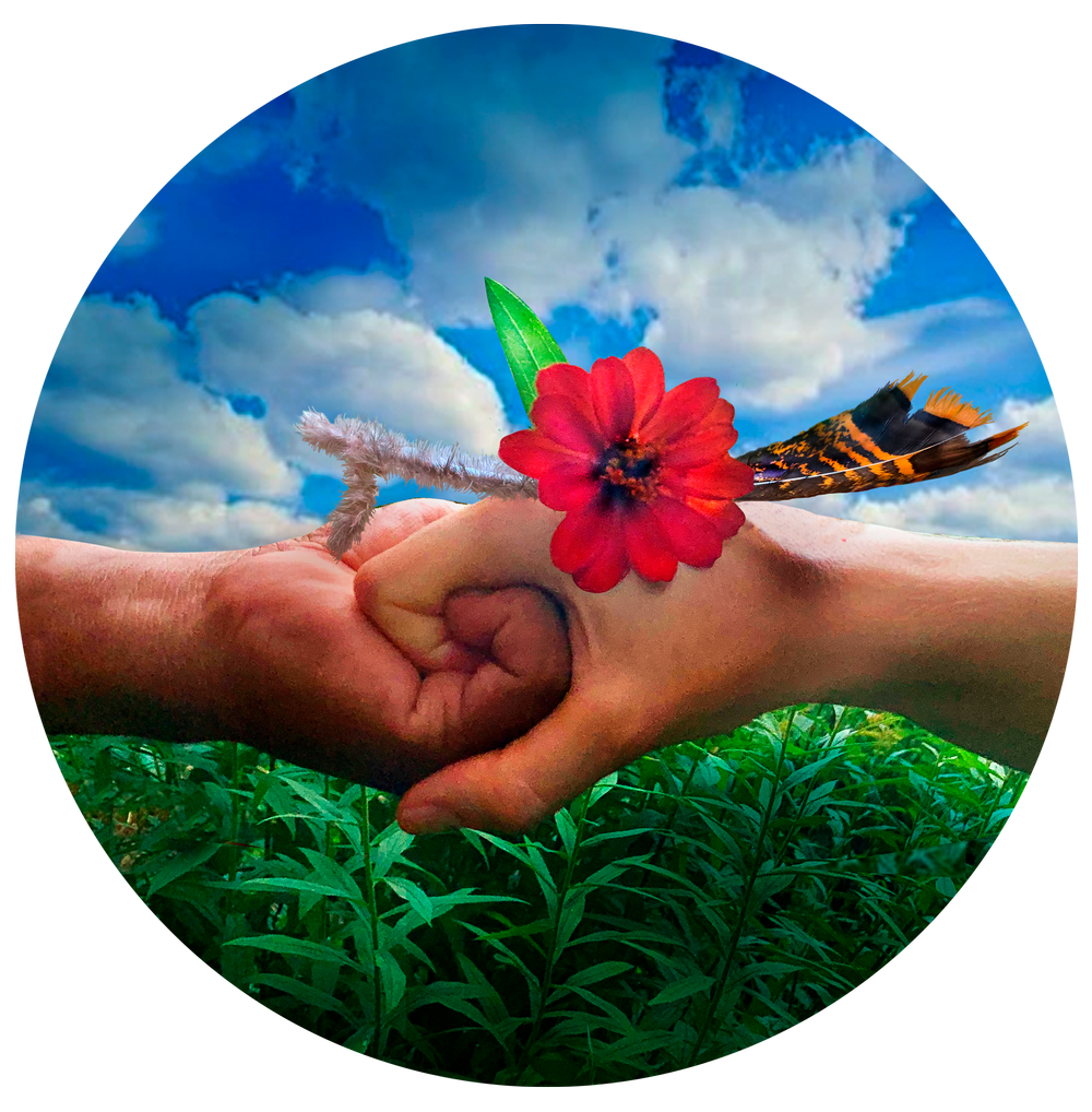 Courses — Primordial Multicultural Healing Community