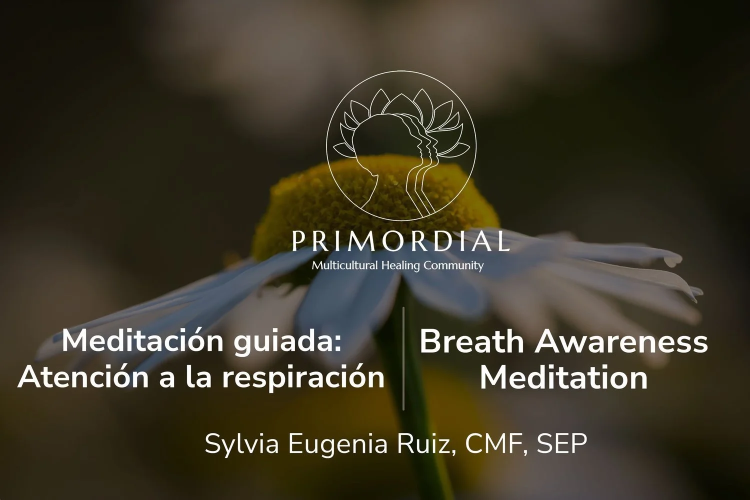 Guided Meditations in Spanish — Primordial Multicultural Healing Community