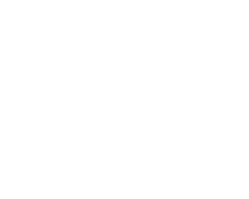 Julia Ramirez for 12th Ward, Chicago IL — Julia Ramirez for 12th Ward