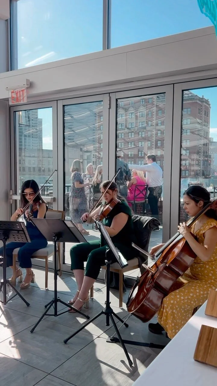 StringSource | Cincinnati String Quartet