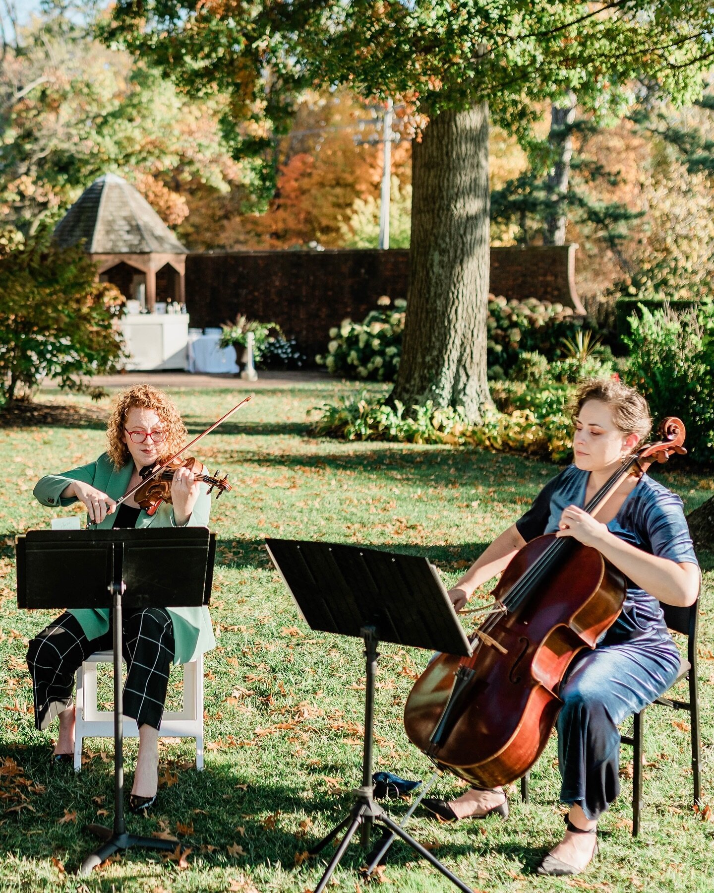 StringSource | Cincinnati String Quartet