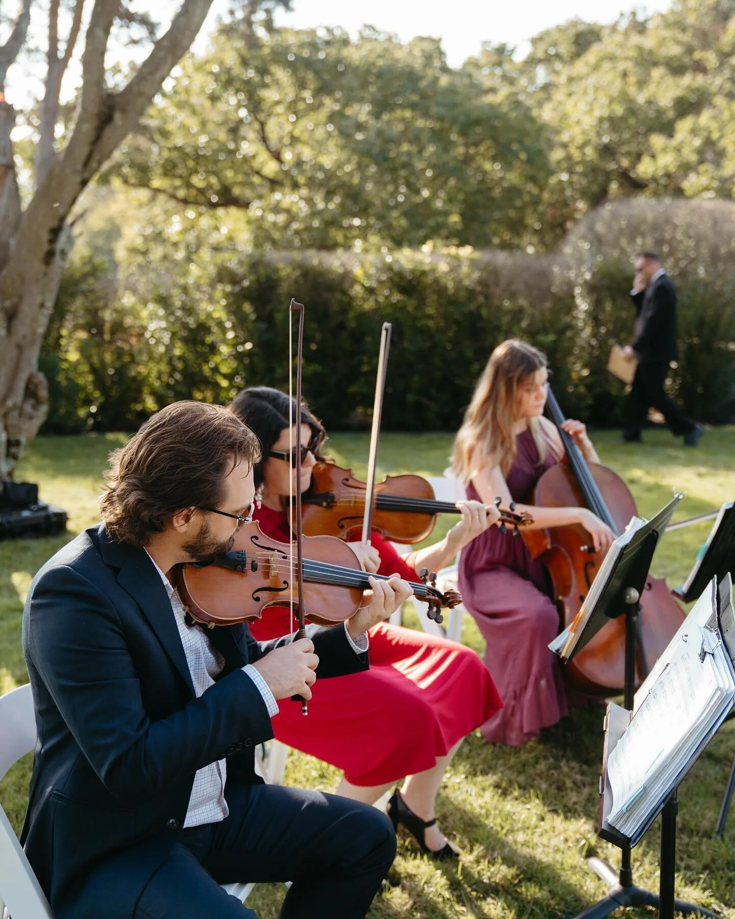 StringSource | Cincinnati String Quartet