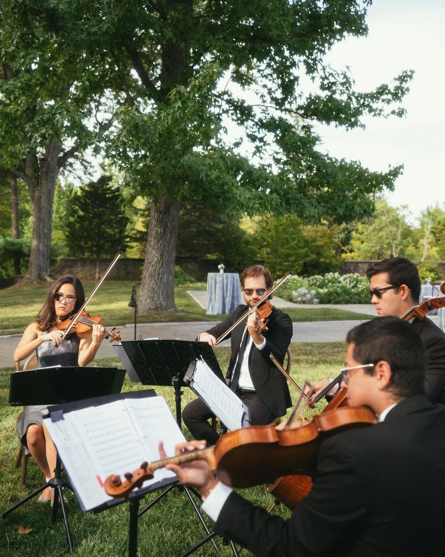StringSource | Cincinnati String Quartet