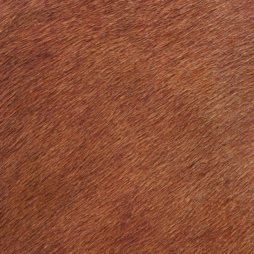 SALE INFO — Red-Land Ultrared Cattle