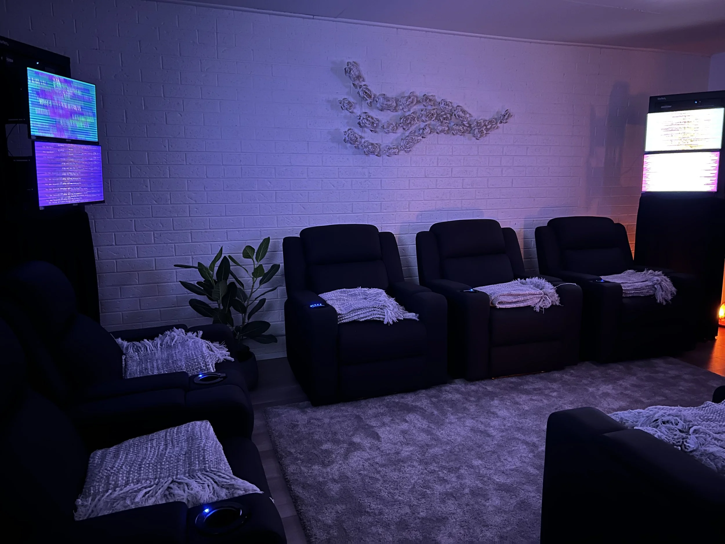 EE System — Essential Healing Centre