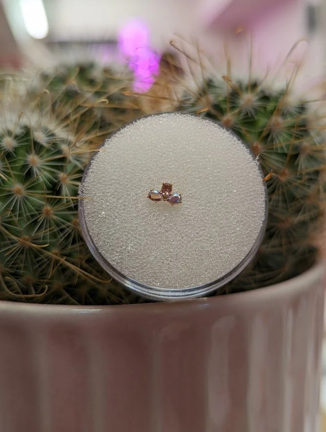 Anatometal 18ct Gold 'Pear Fan' — The Owl and the Pussycat