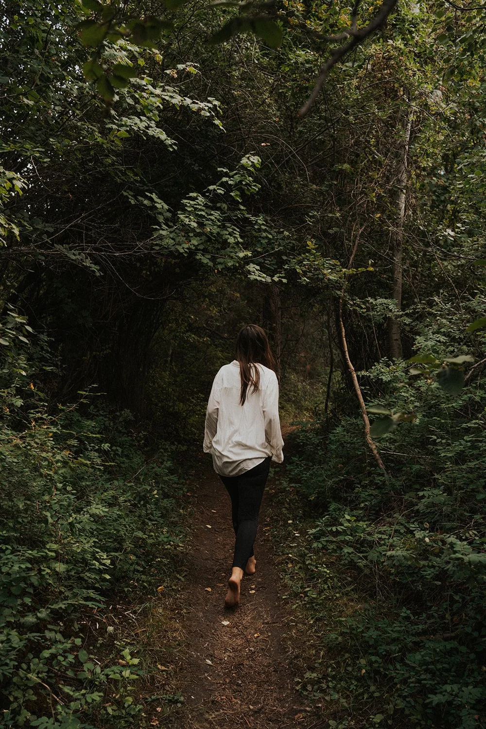 Cycle Sync For Life e-Course — Rosewood Woman