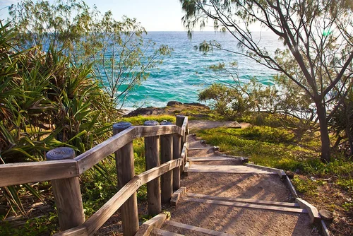 The best things to do in Brisbane in Spring | GoGet Carshare