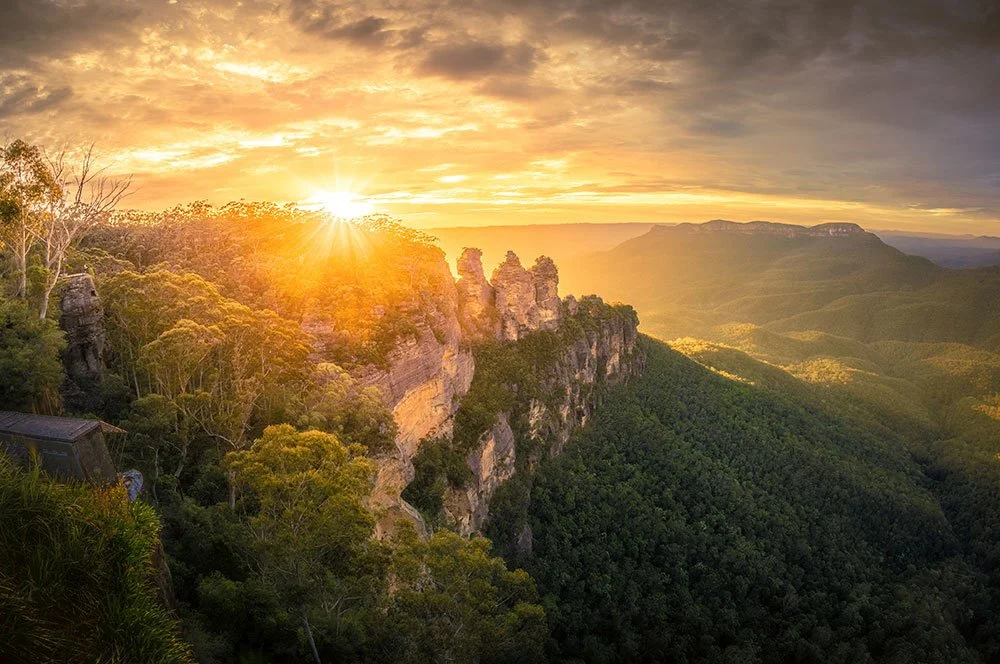 Best Things to Do in Sydney in Spring — GoGet - Australia's Leading Car ...