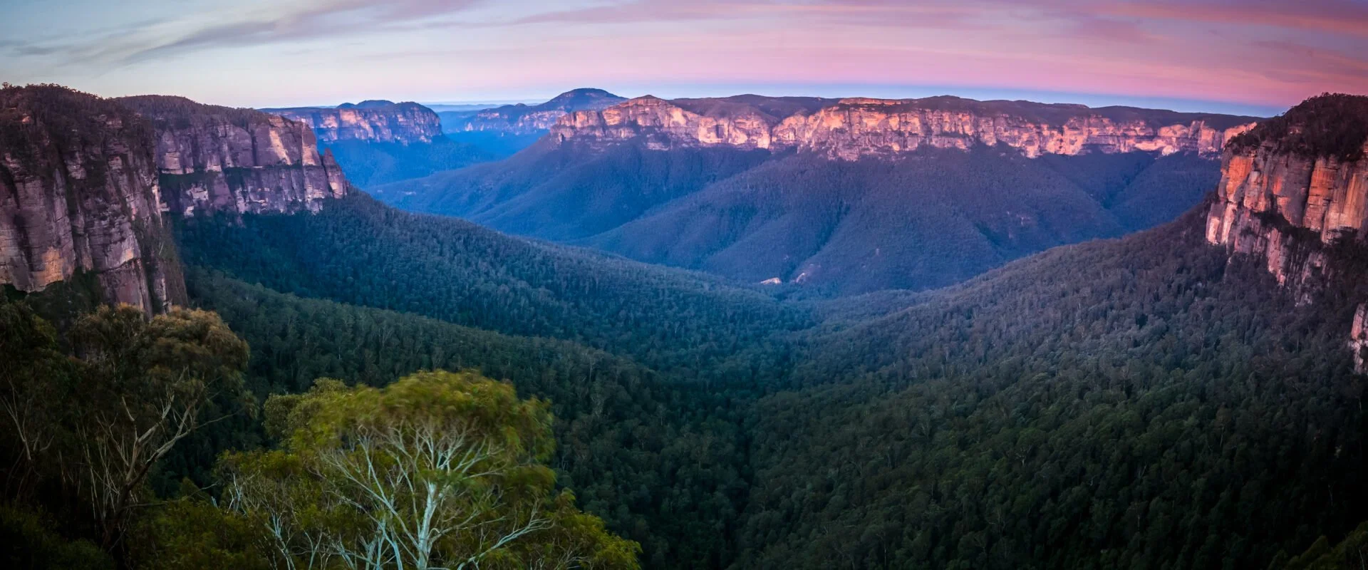 33 Best Walks, Trails & Hikes Around Sydney & NSW — GoGet - Australia's ...