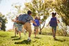Springtime Fun: 12 Exciting School Holiday Adventures for Sydney Kids ...