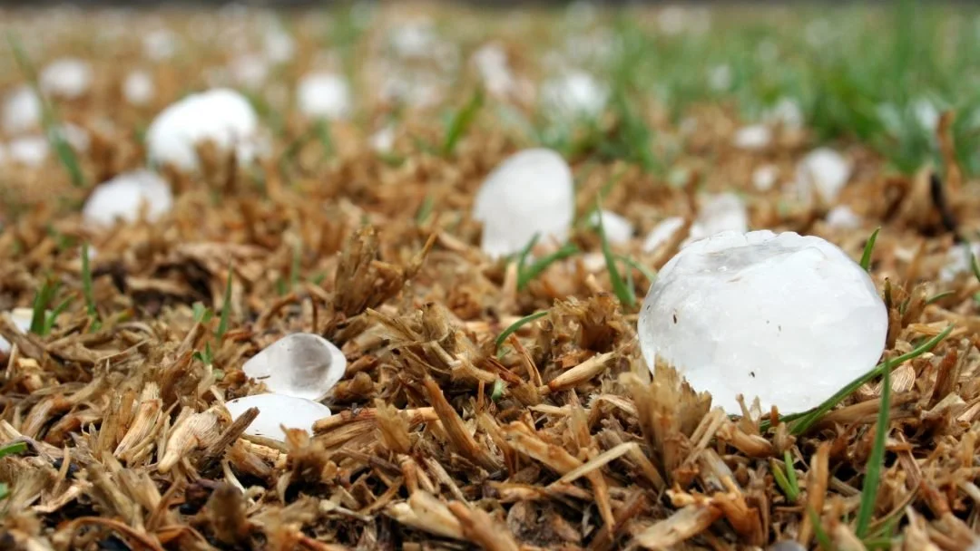 Hail Damage Car Repair: What to Do After a Storm (Insurance, Write-Offs ...