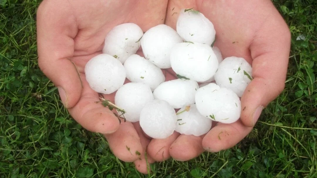 Hail Damage Car Repair: What to Do After a Storm (Insurance, Write-Offs ...