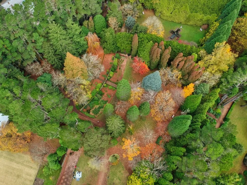 The Best Places To See Autumn Leaves in Sydney & New South Wales 2023 ...