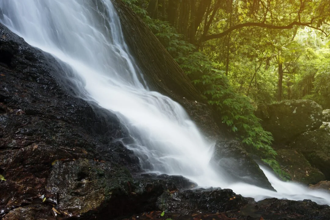 The Best Hikes and Walks Near Brisbane | GoGet Carshare