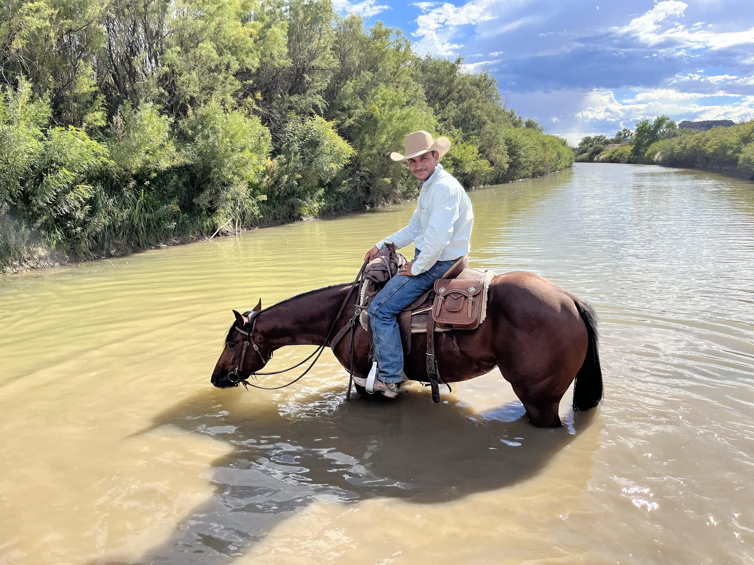 High Bar Colts : Sales and Colt Starting