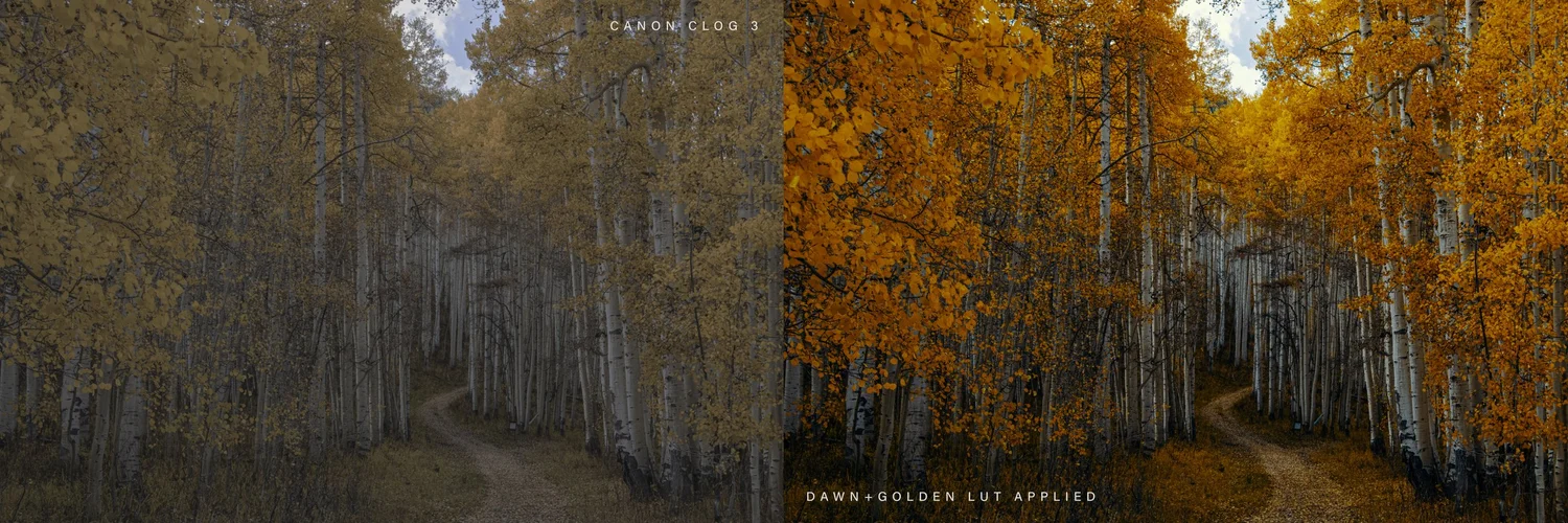 Canon Cinematic LUT Pack