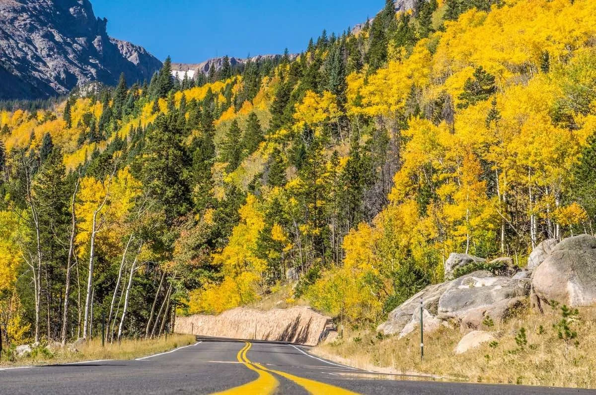 Trail Ridge Road Adventure: Rocky Mountain National Park — Grand Chalet ...