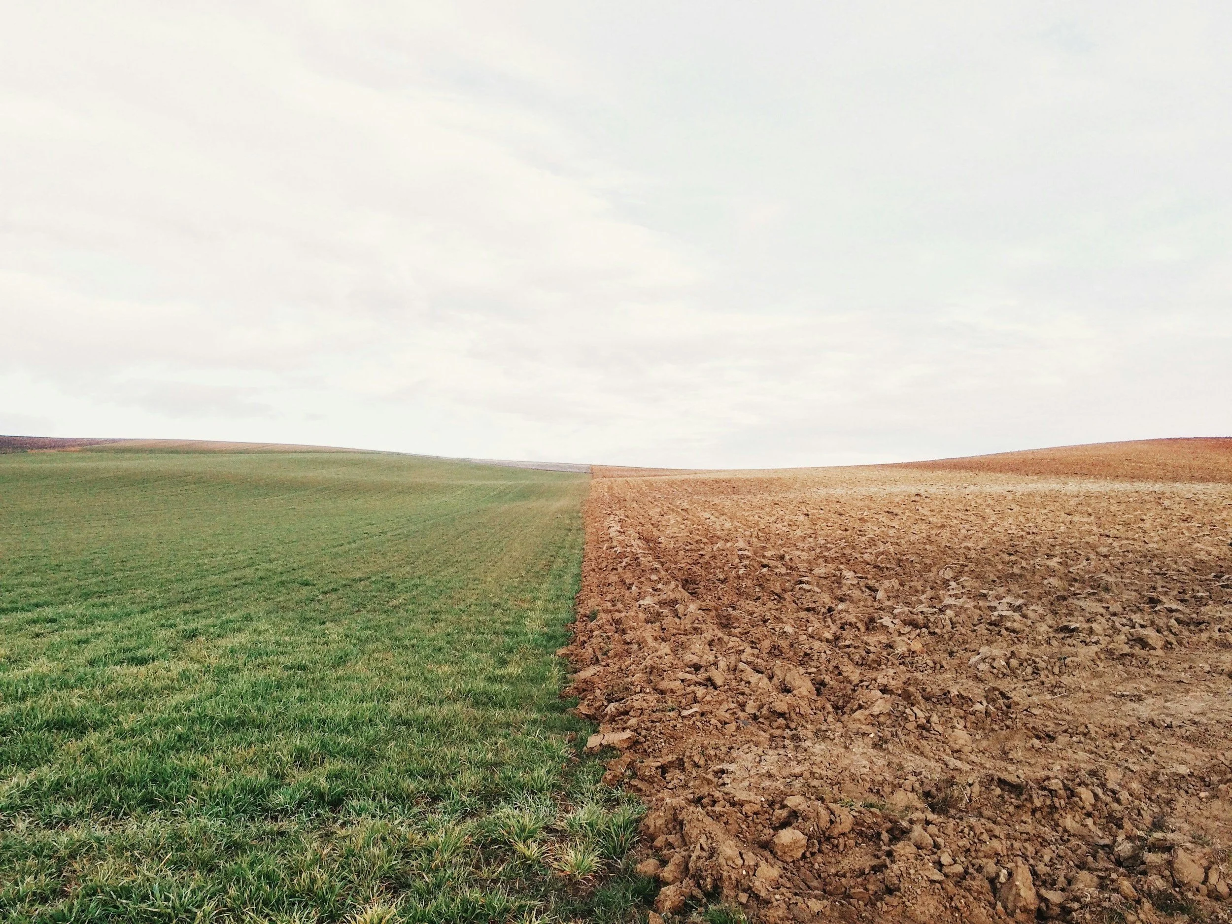 Natural Sheep & Goat Compost in MD — Sunny Dreams Farm