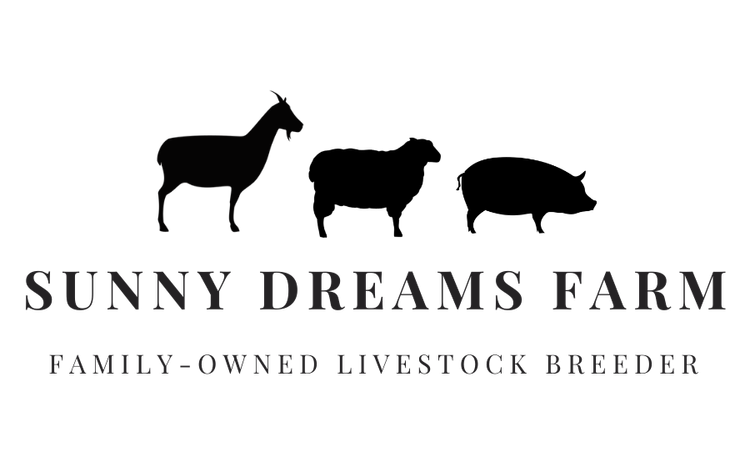 Sunny Dreams Farm: Premier Family Farm in MD - Registered Livestock ...