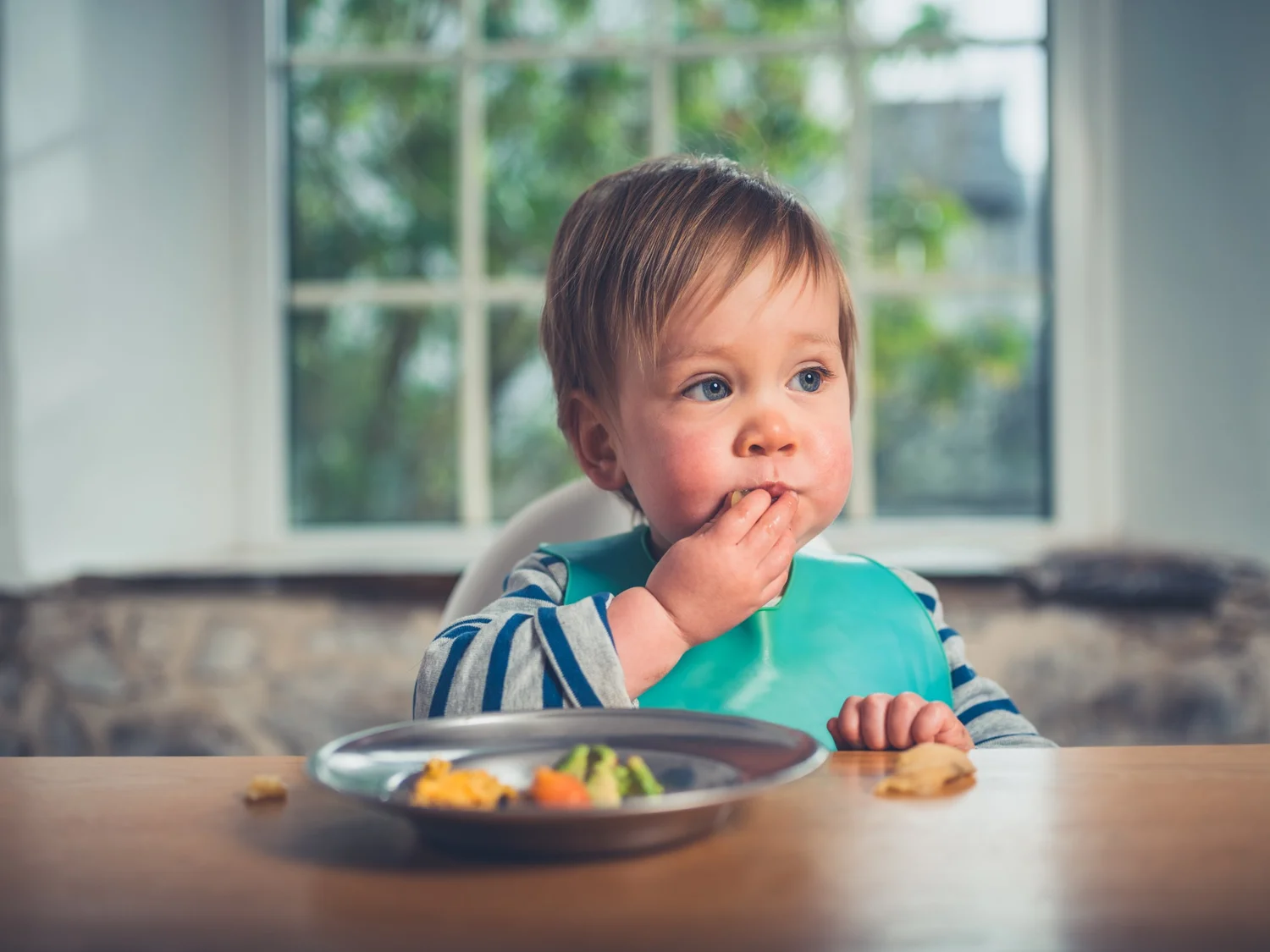 Baby Led Weaning or Spoon-Feeding? — Help With Feeding