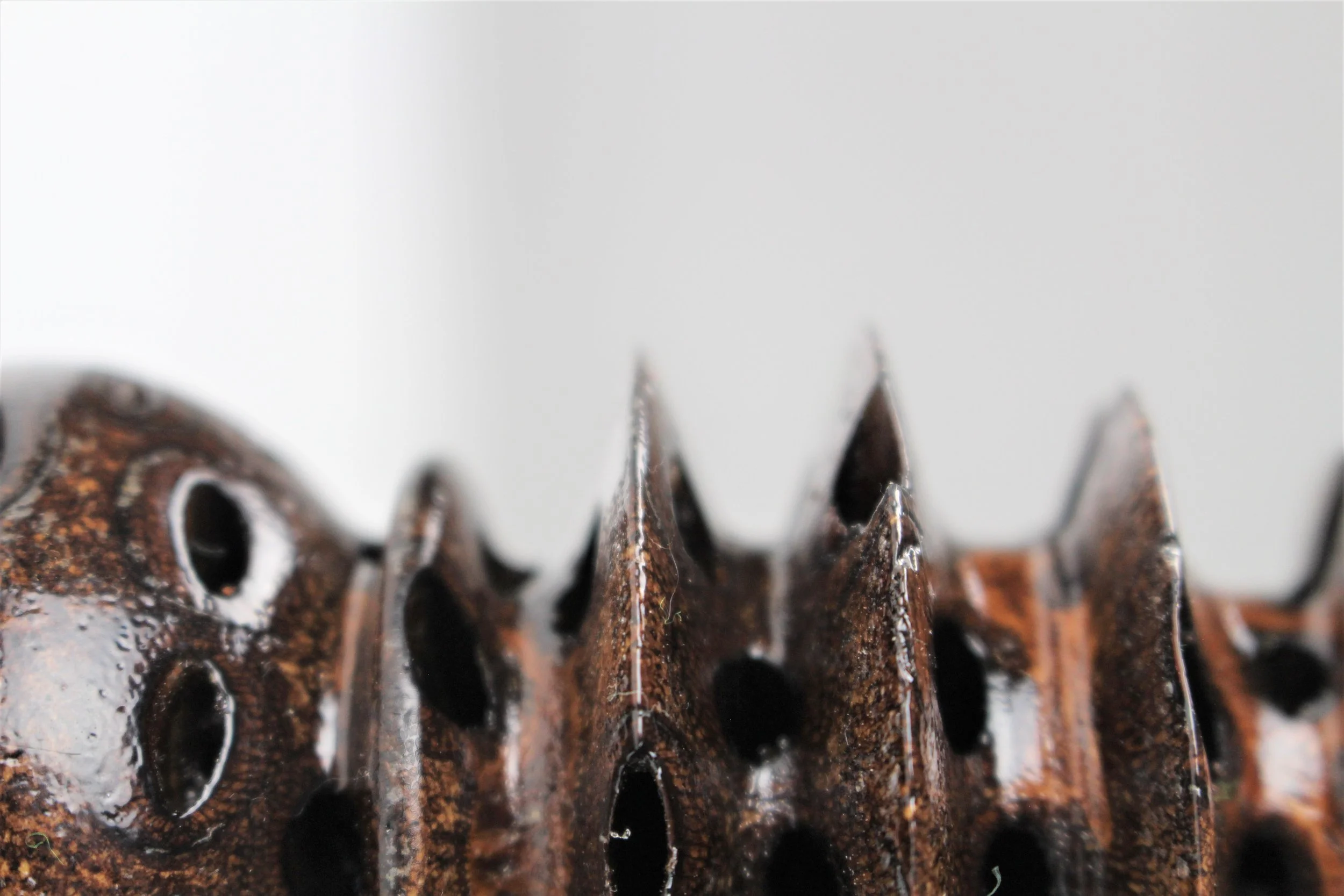 Wooden Fields Design