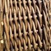 Willamette Willows | Willow Nursery and Farm