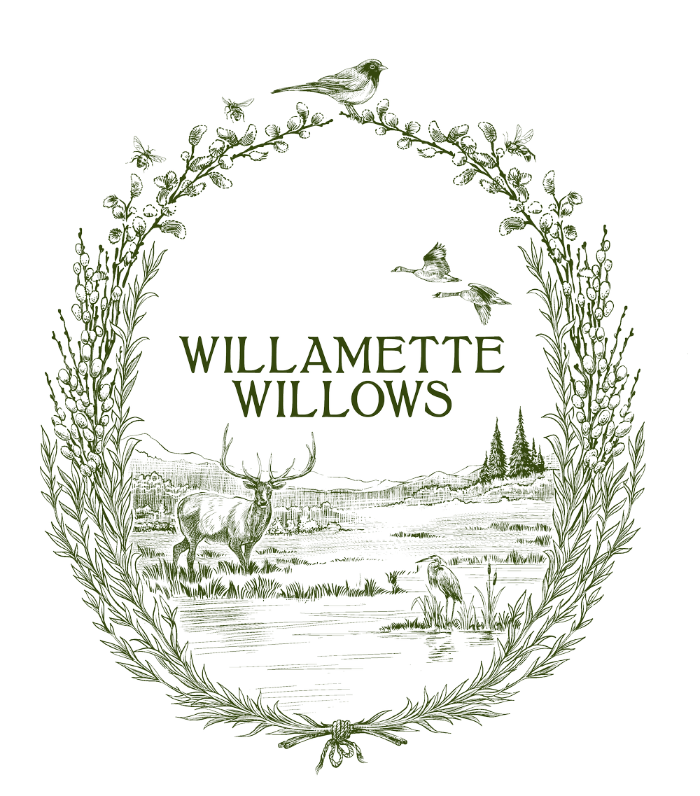 Willow Planting Guides & Information | Williamette Willows