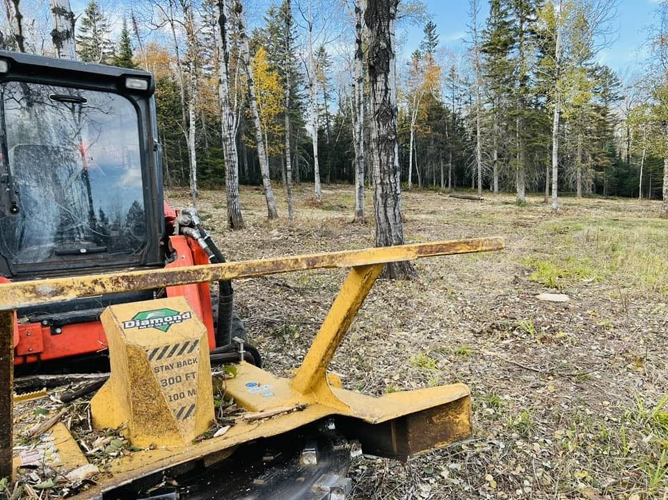 White Pine Forestry & Excavation
