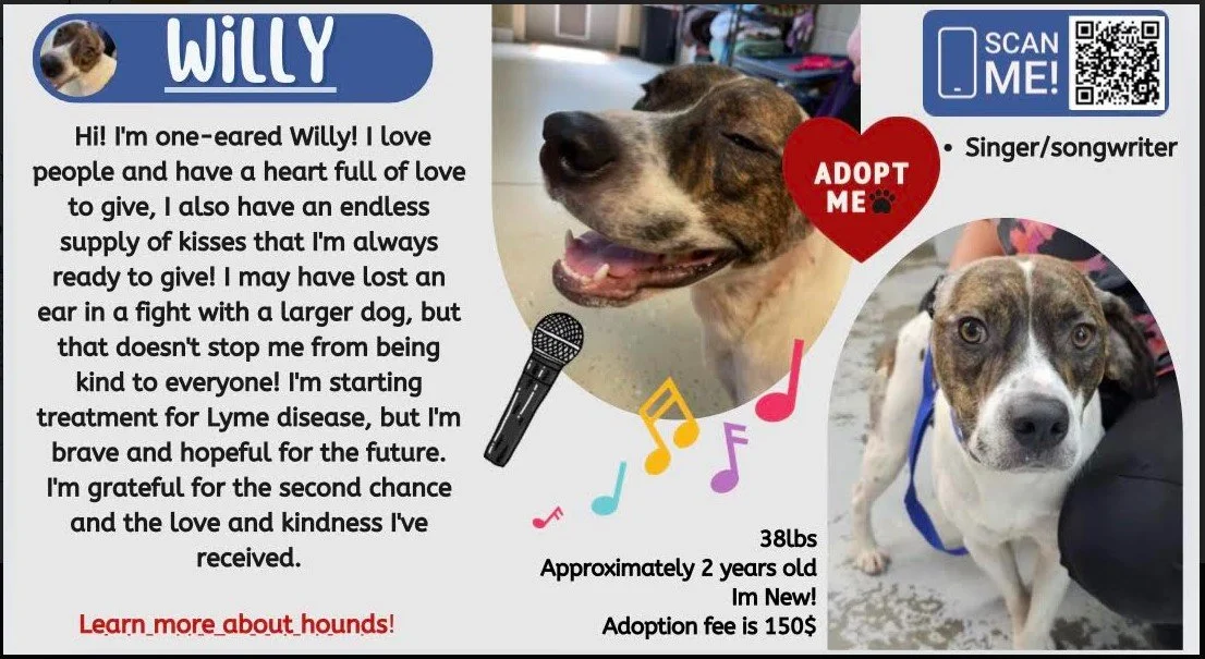 Available Dogs — Gateway Area Humane Society