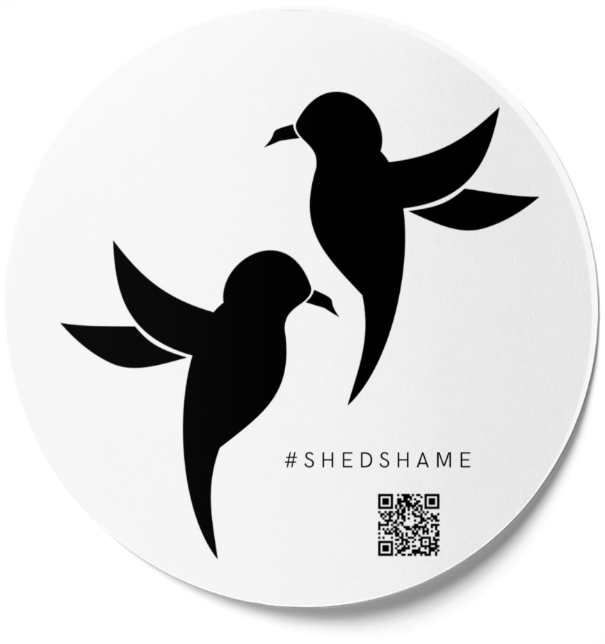 Shop Merch — PROJECT BLACKBIRD