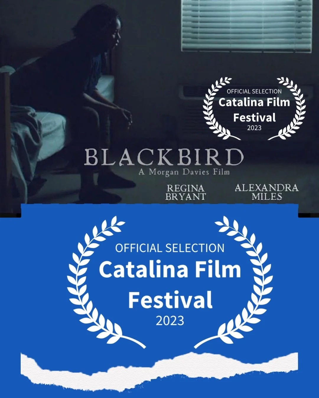 Tour Events — PROJECT BLACKBIRD