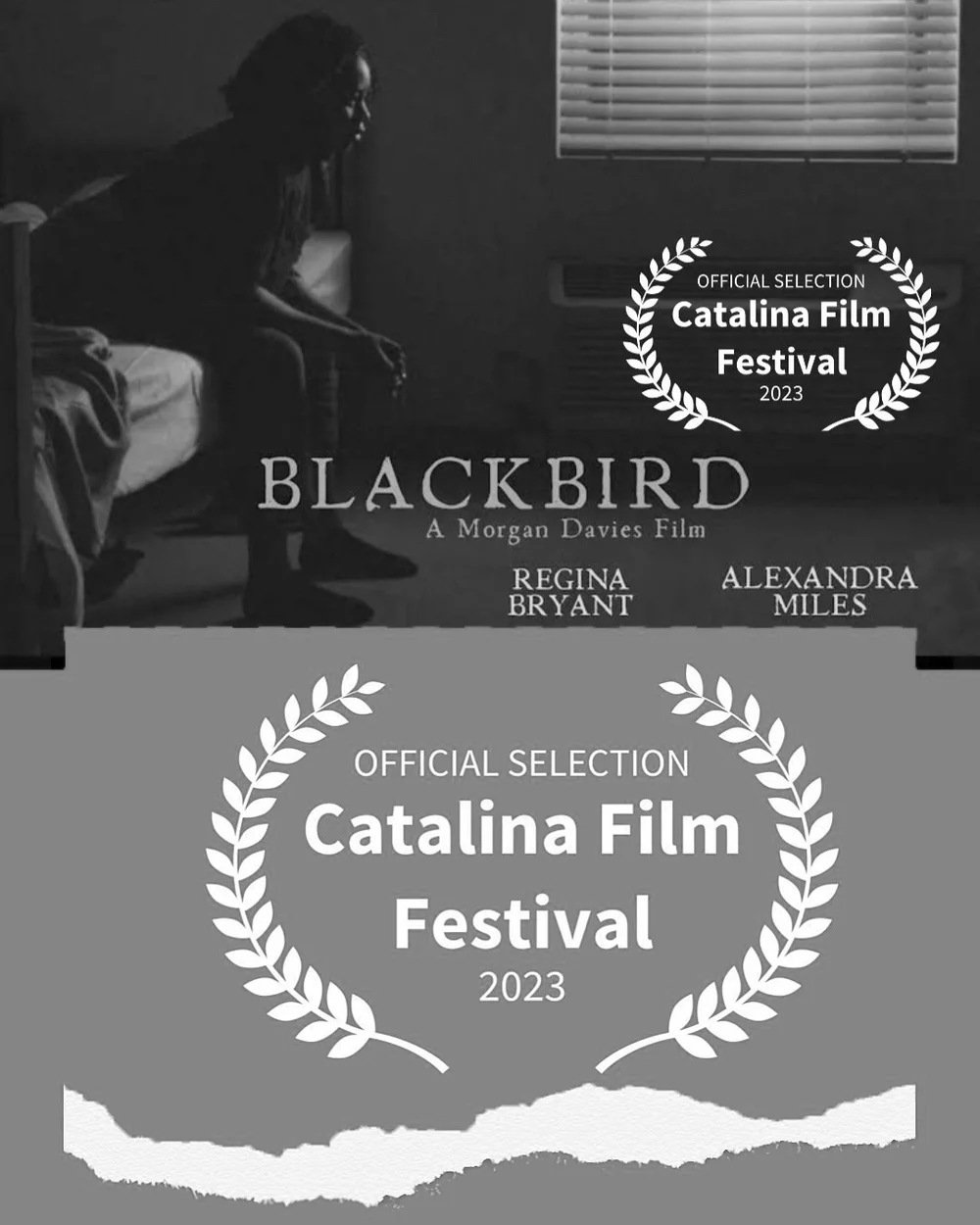 Tour Events — PROJECT BLACKBIRD