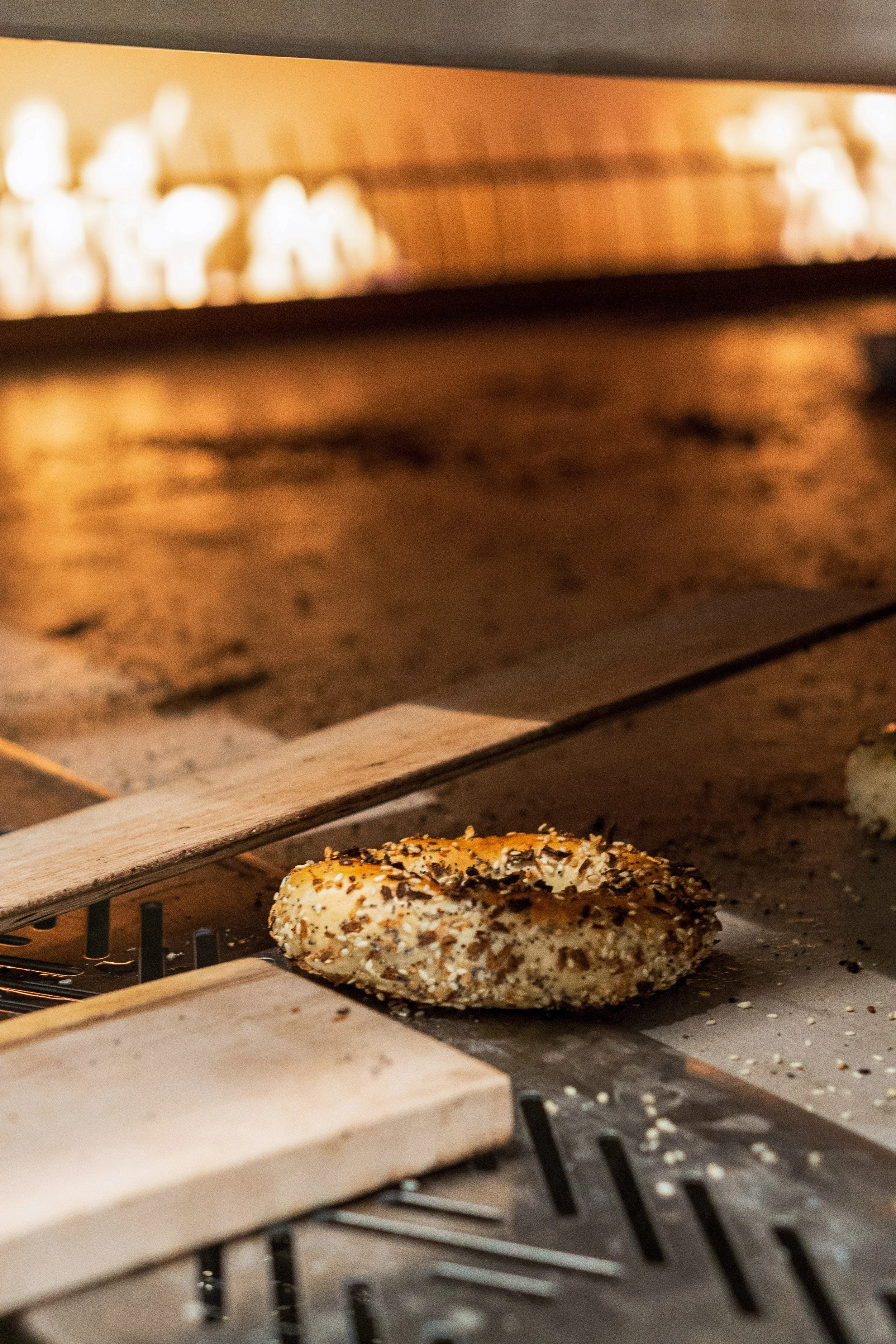 Montréal Style Bagels — Honey Seed