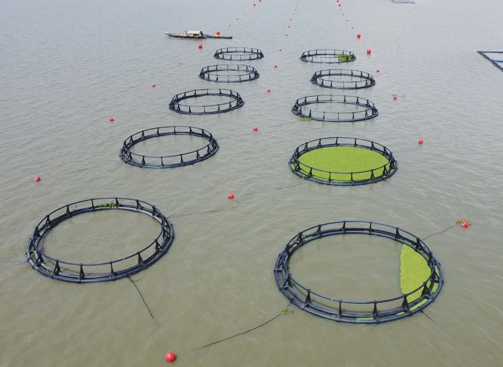 Aquaculture — Inca Philippines Inc.