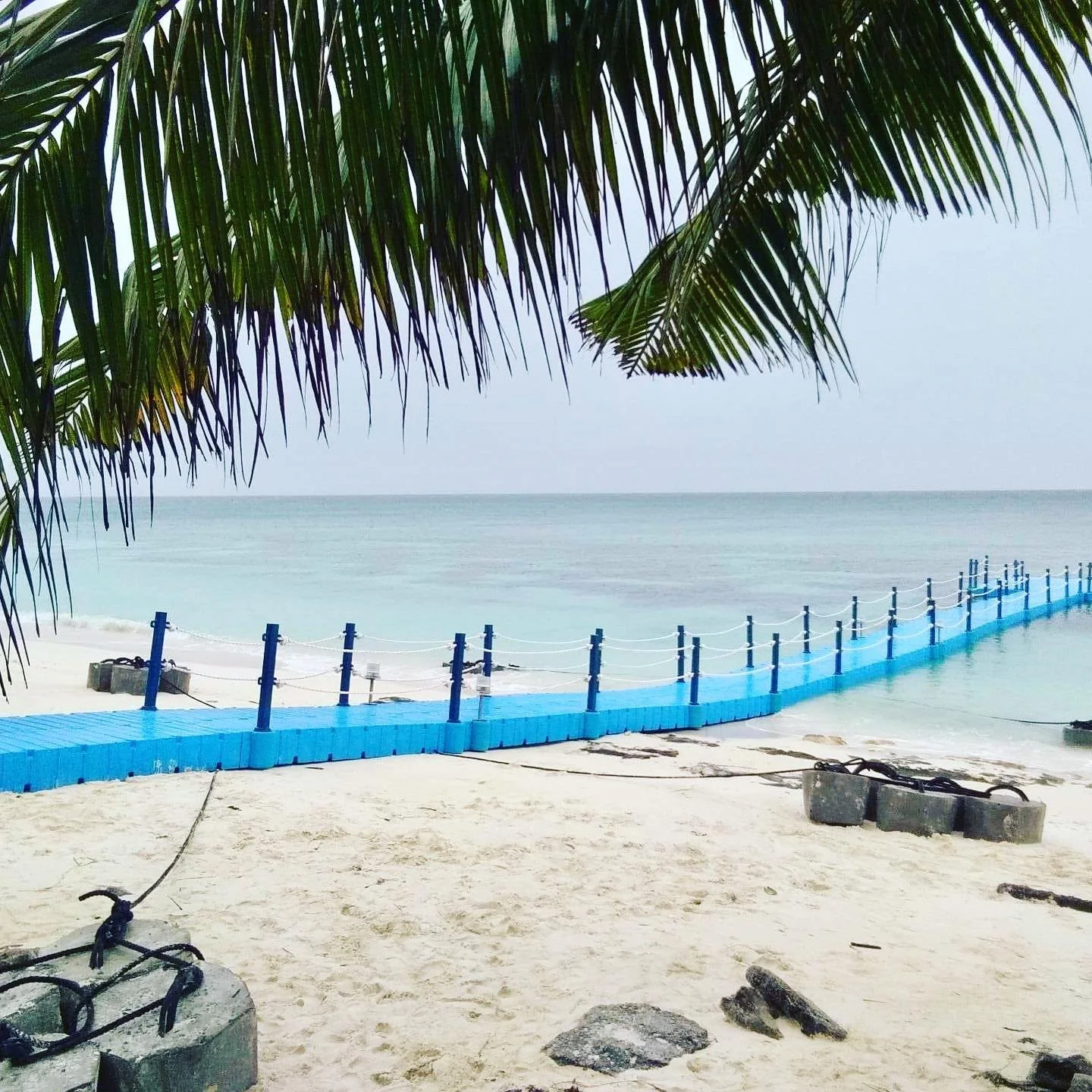 Aquaculture — Inca Philippines Inc.