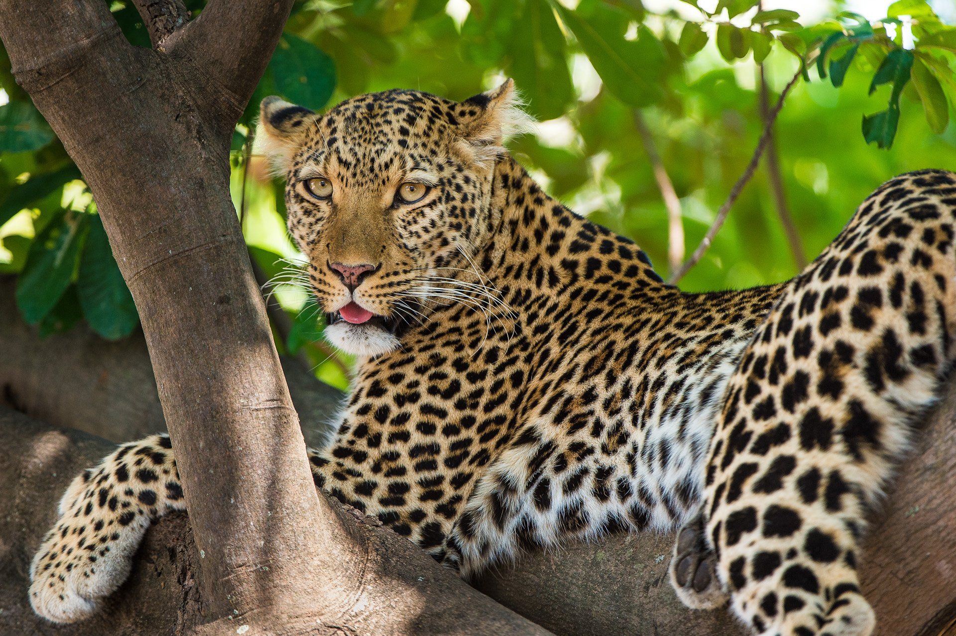 Mandala World Travel - Life Enhancing Trips