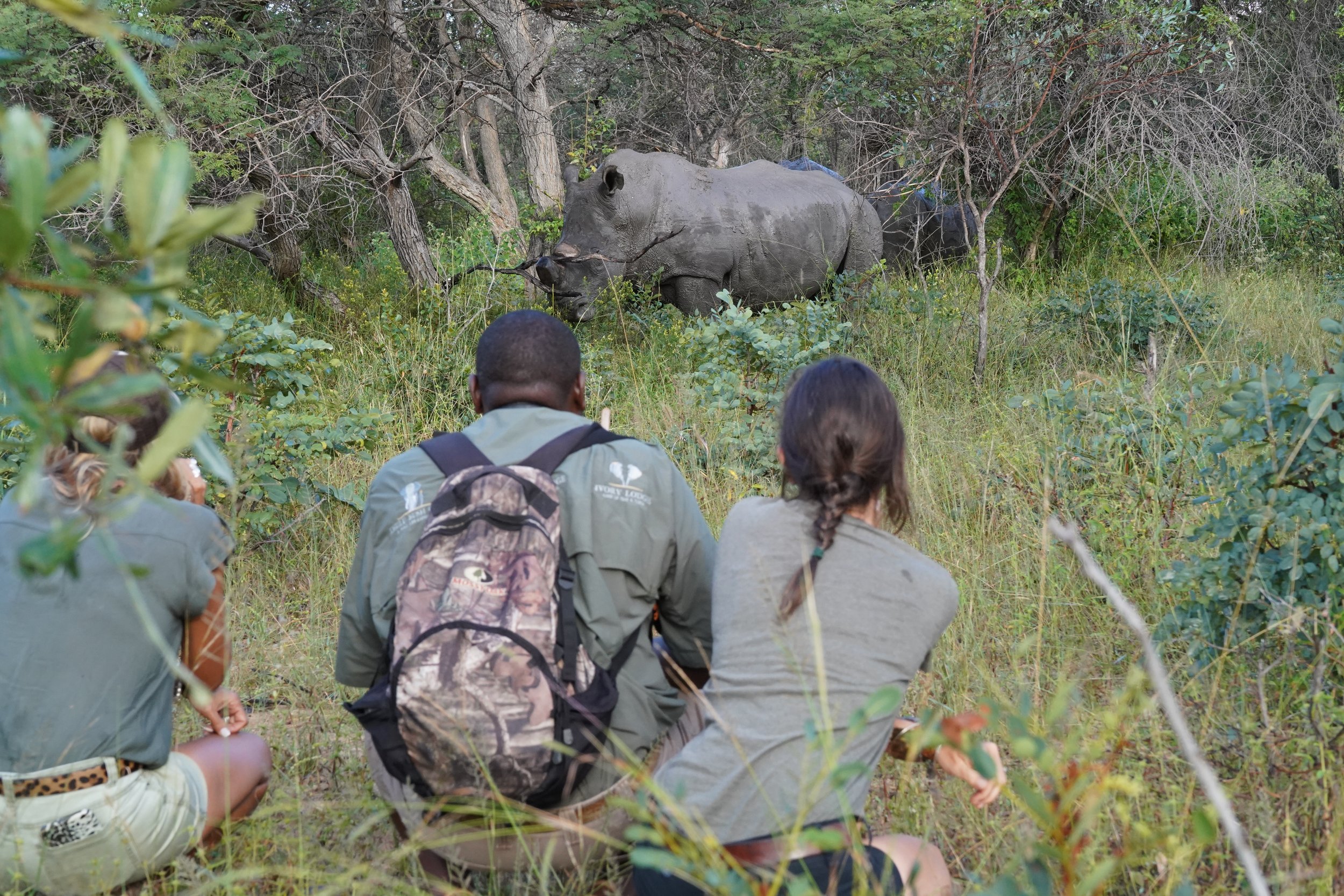 Mandala World Travel - Life Enhancing Trips