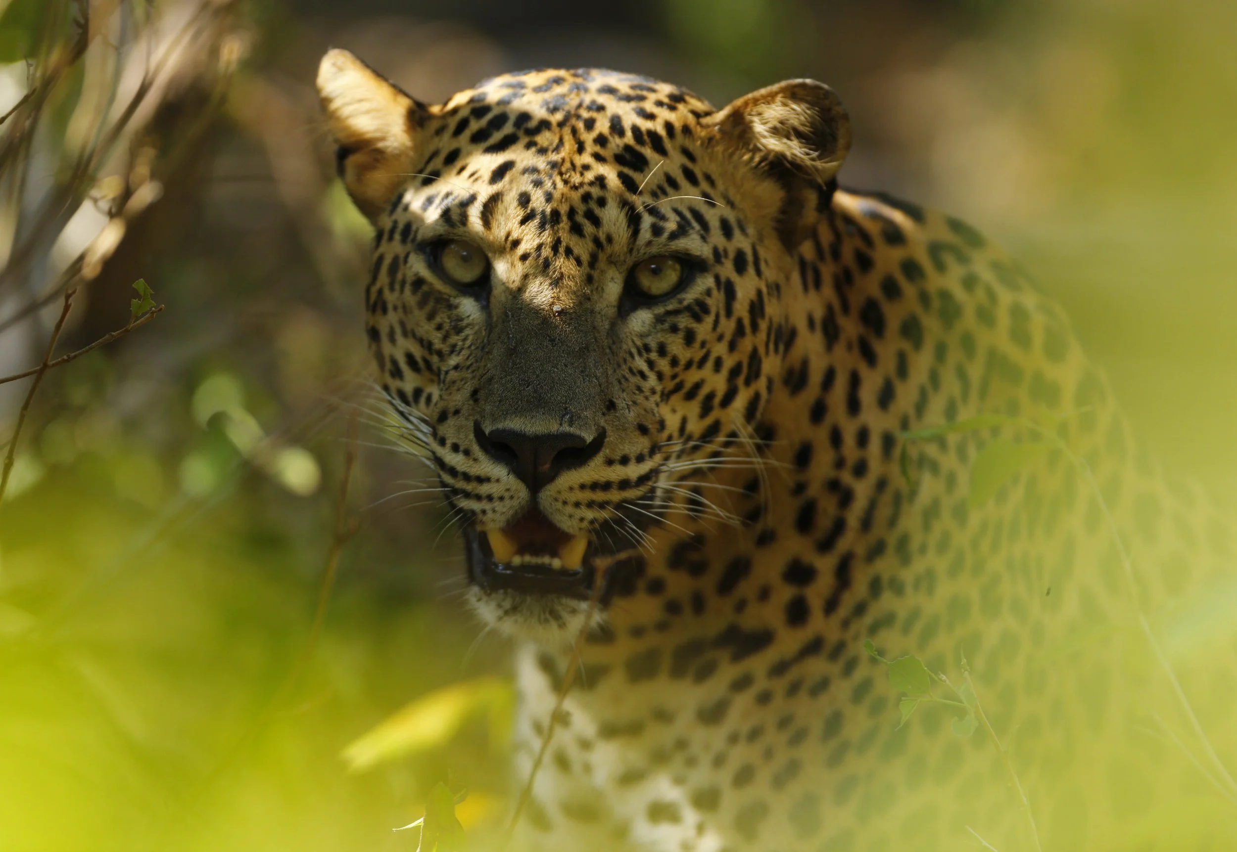 Mandala World Travel - Life Enhancing Trips