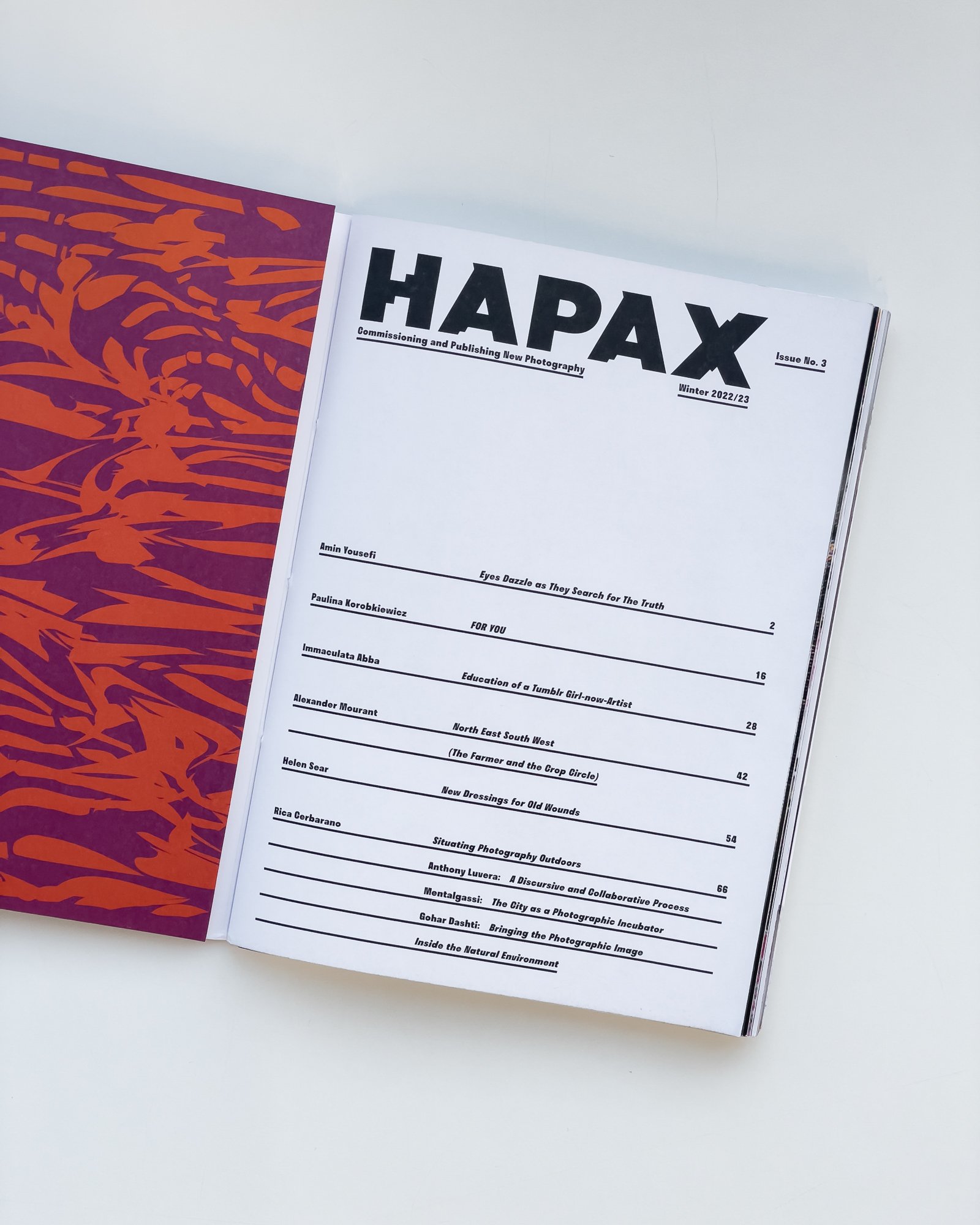 Hapax Magazine - Issue 3 — Amin Yousefi