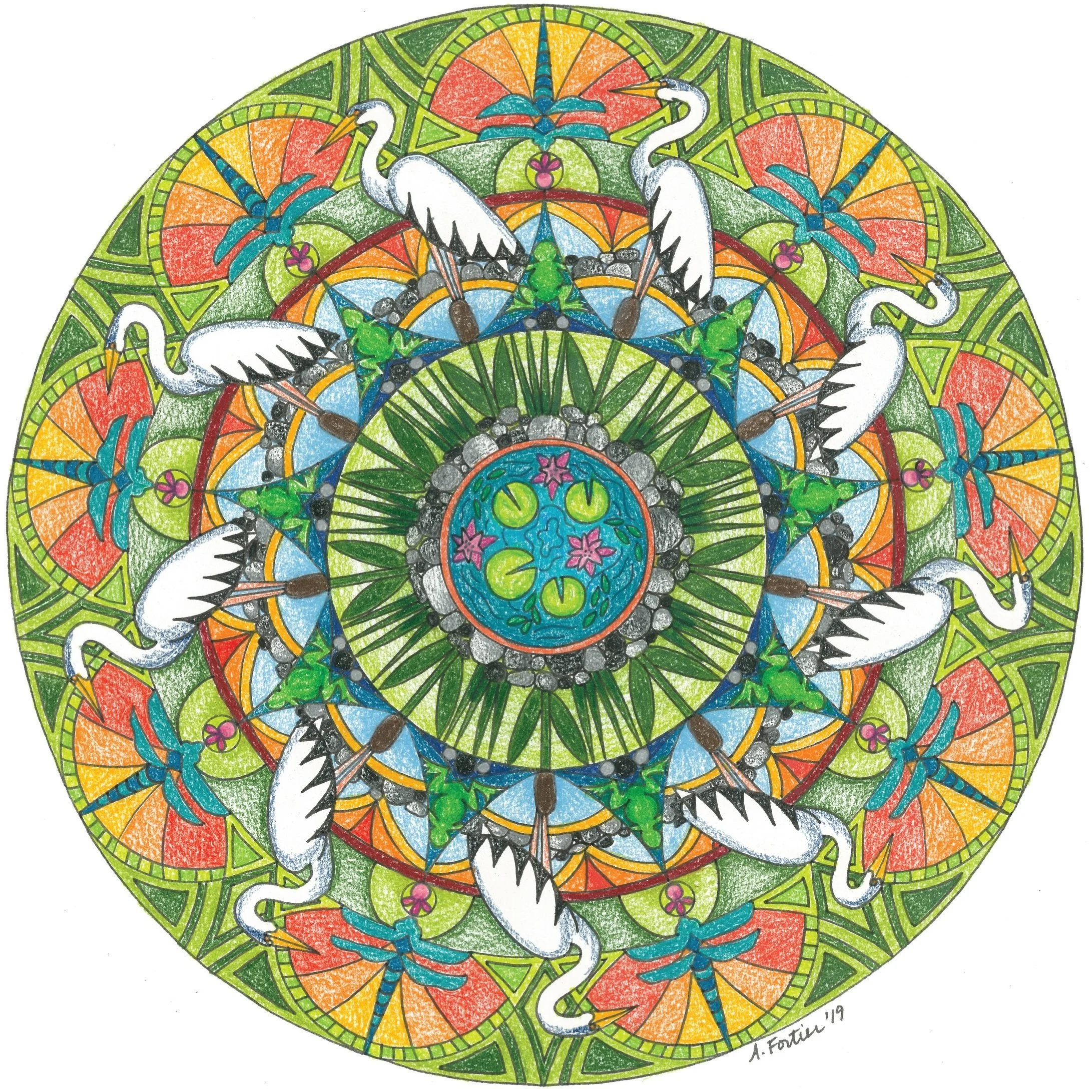 Collections — Amy Fortier