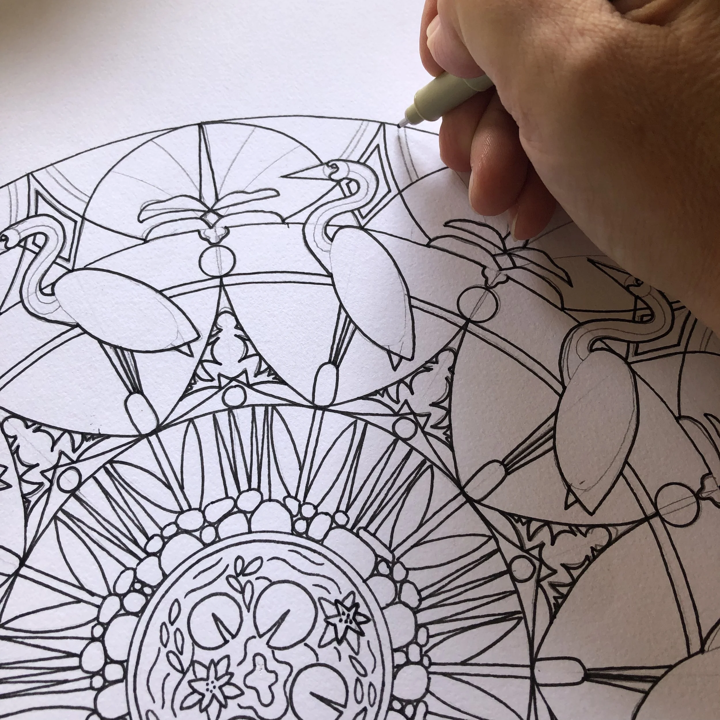 Water's Edge Coloring Poster and Prints — Amy Fortier