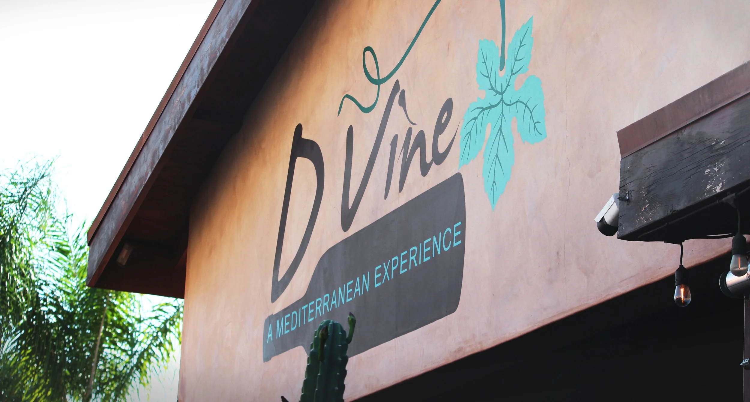 D'Vine Mediterranean Experience